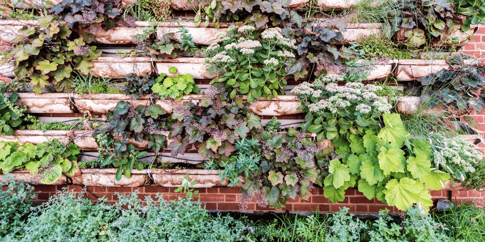 Small Space, Big Garden: Vertical Gardening Ideas for Spring ...