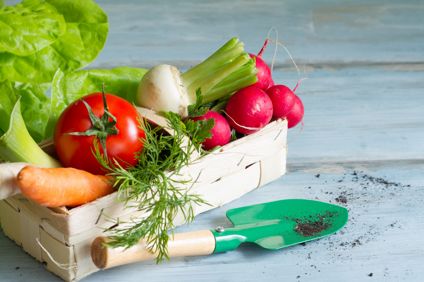 5 Vegetables to Start in Early Spring: Plan Ahead for a Bumper Crop ...