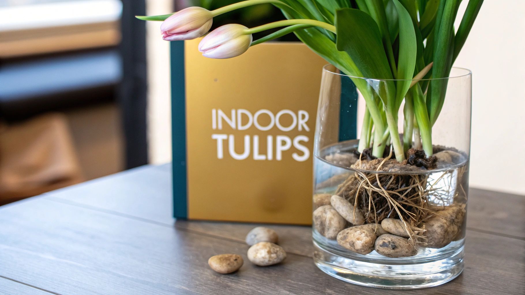 7 Steps to Growing Tulip Bulbs in Water: An Easy Guide - Homegrown Garden