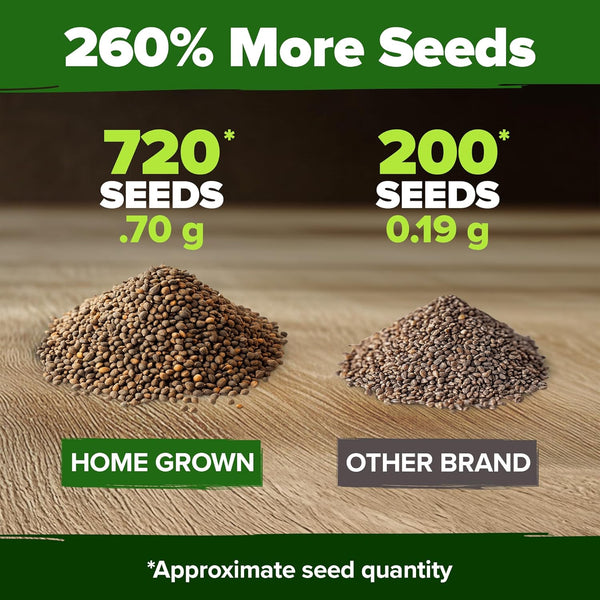 Culantro Seeds – Heirloom Recao Eryngium Foetidum Herb (720+ Non-GMO S ...
