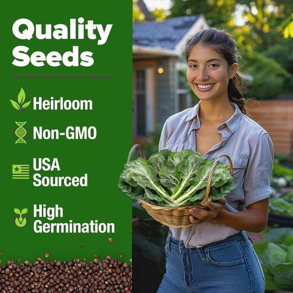 Vates Collard Seeds, 600 ct, Non-GMO, USA Grown - Homegrown Garden