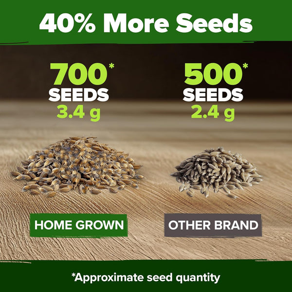 Bachelor's Button Wildflower Seeds, 700 ct, Non-GMO - Homegrown Garden