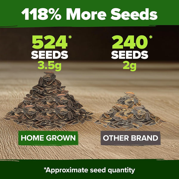 Zinnia Dahlia Seed Mix, 520+ Seeds, 3.5g Bulk Pack - Homegrown Garden