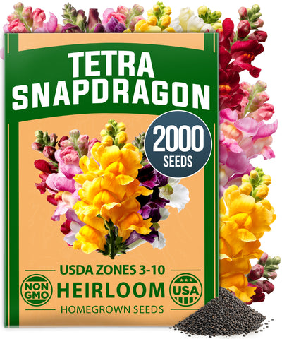 Snapdragon Tetra Seeds, 2000 ct, Tall Mixed Colors - Homegrown Garden