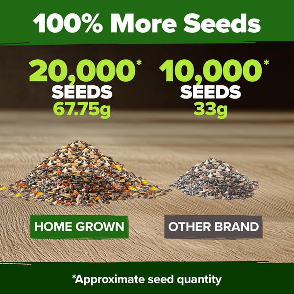Monarch Butterfly Wildflower Seed Mix, 20,000+ Seeds - Homegrown Garden